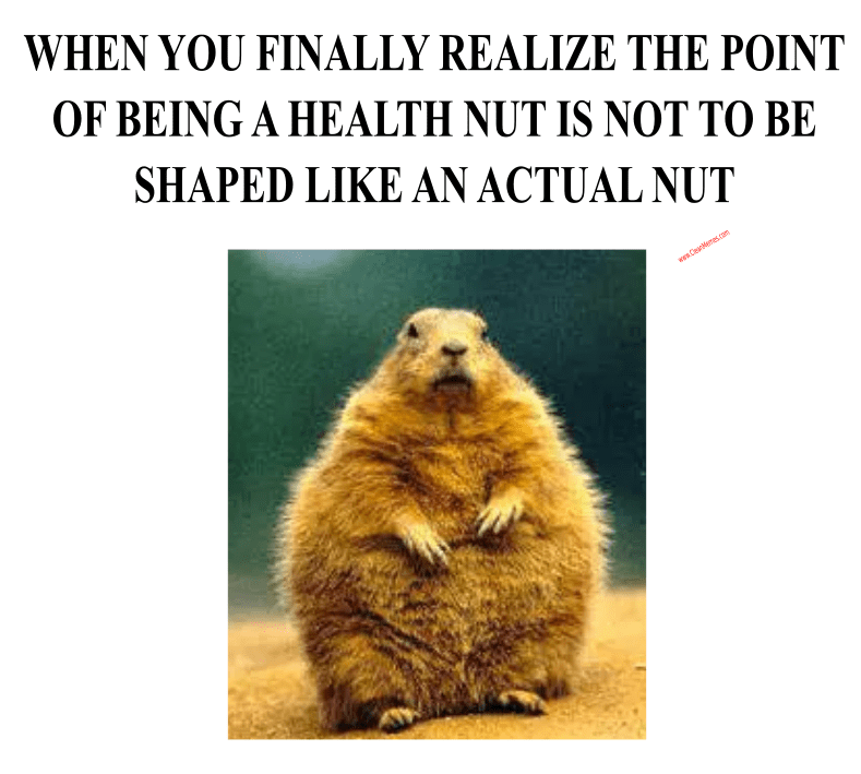 August 2018 – Clean Memes