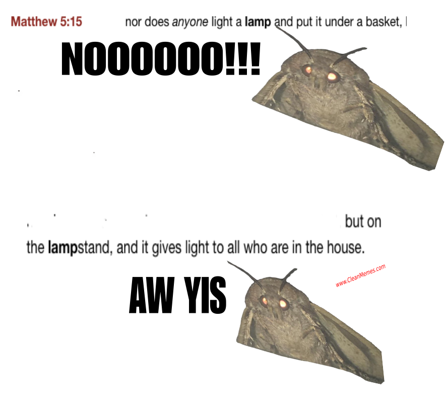 moth3 – Clean Memes