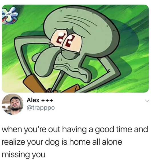 Clean Memes 08-02-2019 Morning – Clean Memes