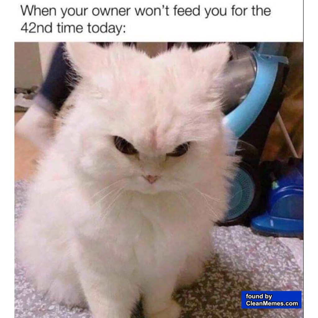 Clean Funny Images – Page 32 – Clean Memes