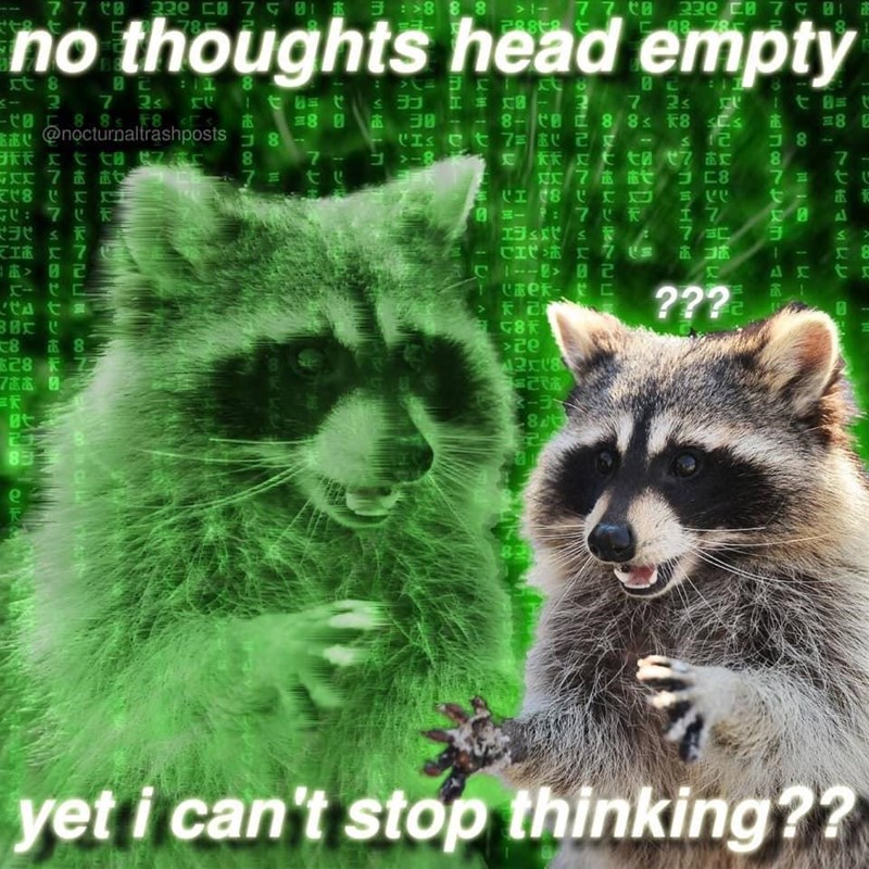 Clean Memes – Page 16 – The best and most clean memes online.