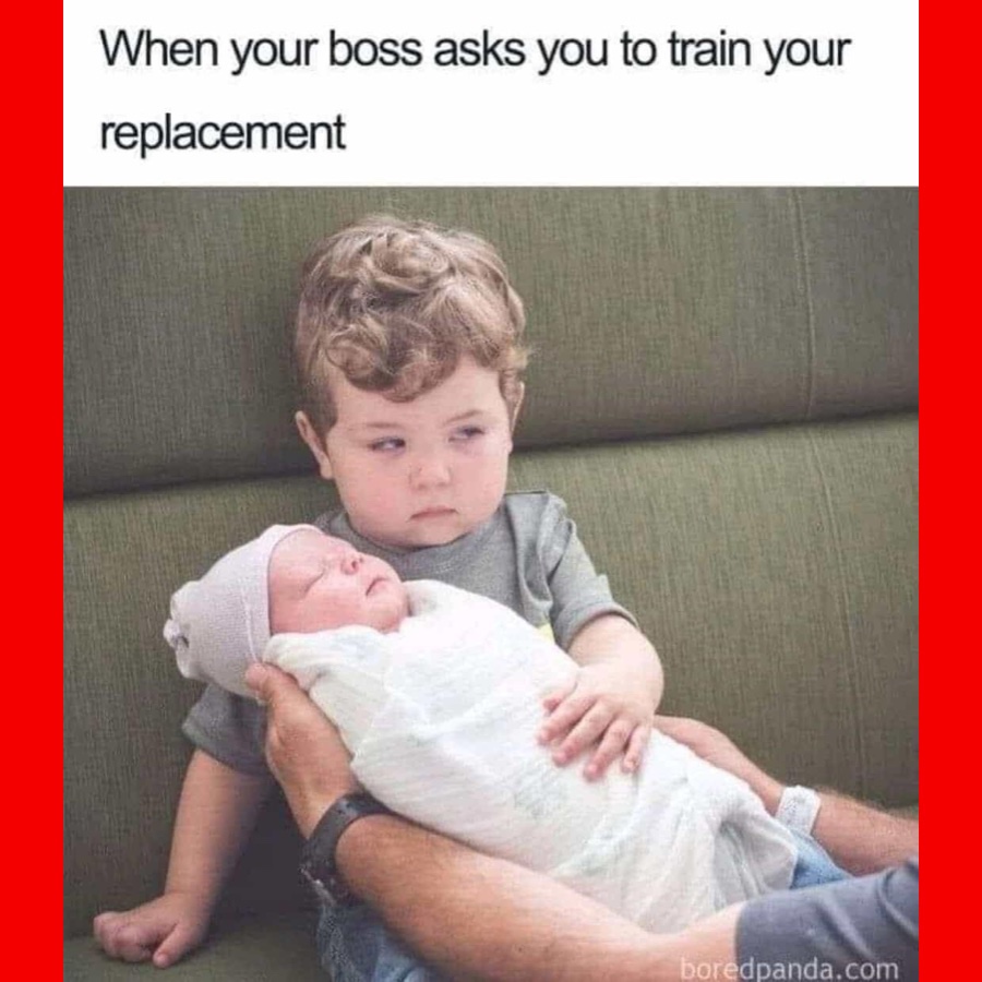 Clean Memes 02-11-2023 – Clean Memes