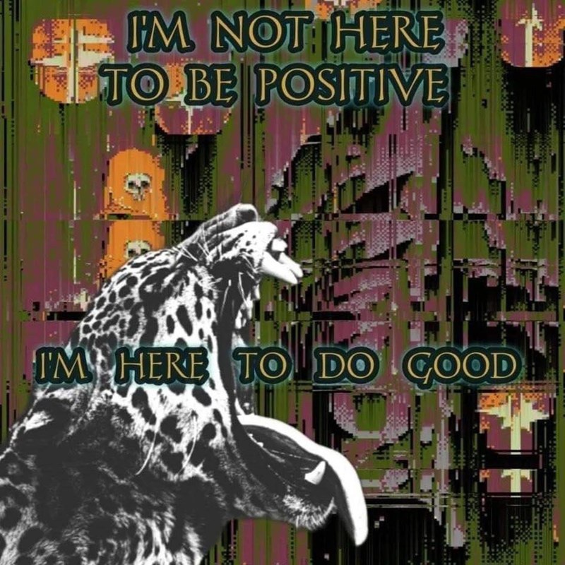 Clean meme drop 12-03-23 morning – Clean Memes