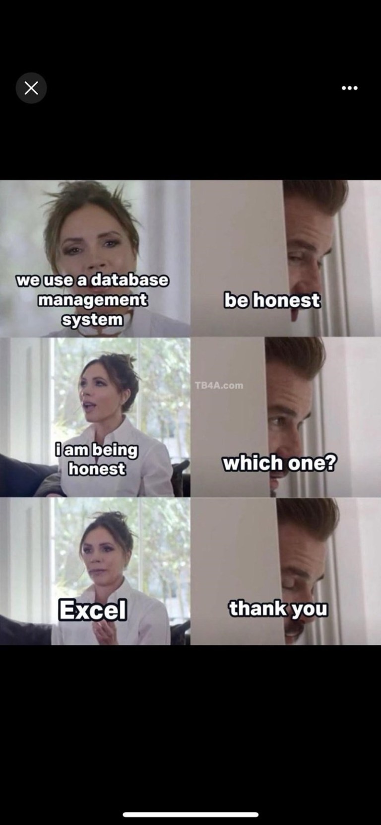 Clean Memes – Page 8 – The best and most clean memes online.