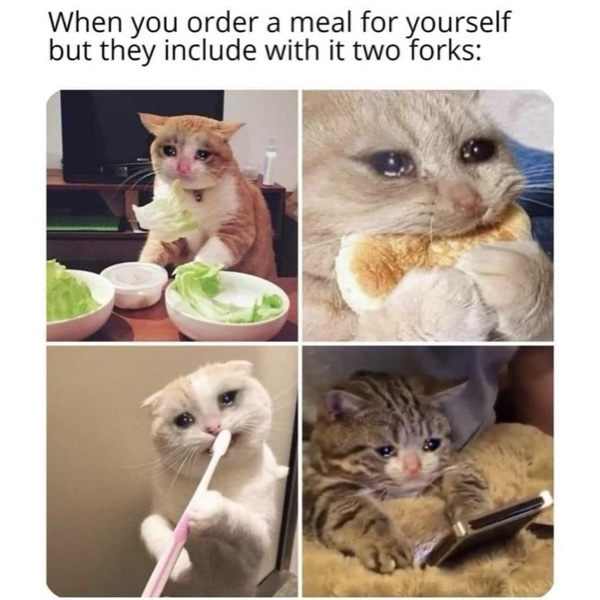 Clean meme drop 2-5-24 – Clean Memes
