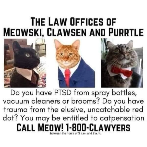 Clean meme drop 2-27-24 – Clean Memes