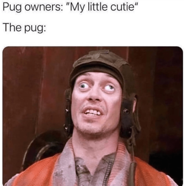 Clean meme drop 3-1-24 – Clean Memes