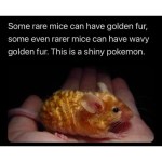 Clean Memes – Page 8 – The best and most clean memes online.