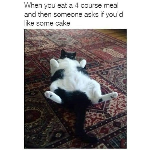 Clean meme drop 3-20-24 – Clean Memes