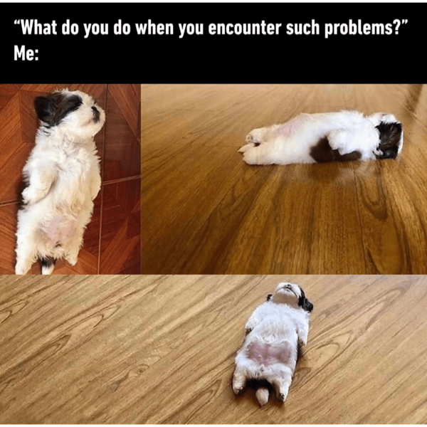 Clean meme drop 3-25-24 – Clean Memes