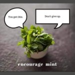 Clean Memes – Page 2 – The best and most clean memes online.