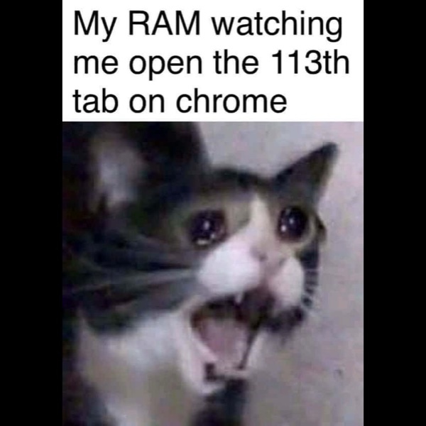 Clean meme drop 5-18-24 – Clean Memes