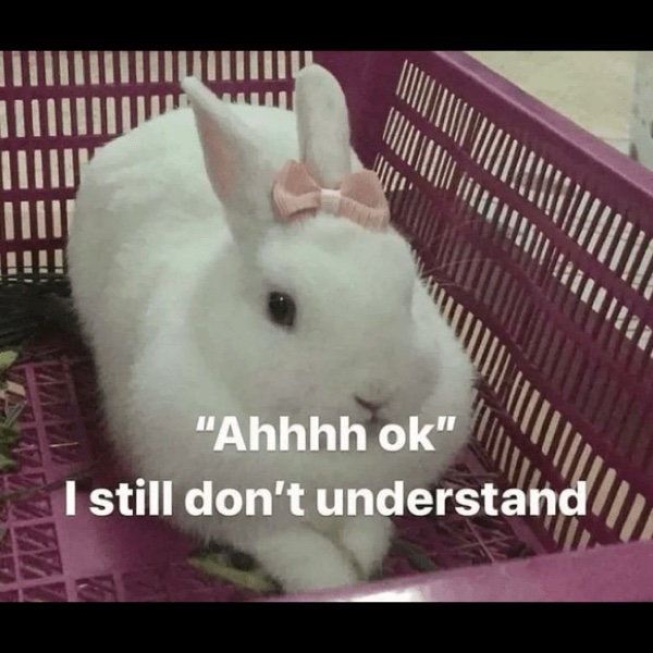Clean meme drop 5-4-24 – Clean Memes