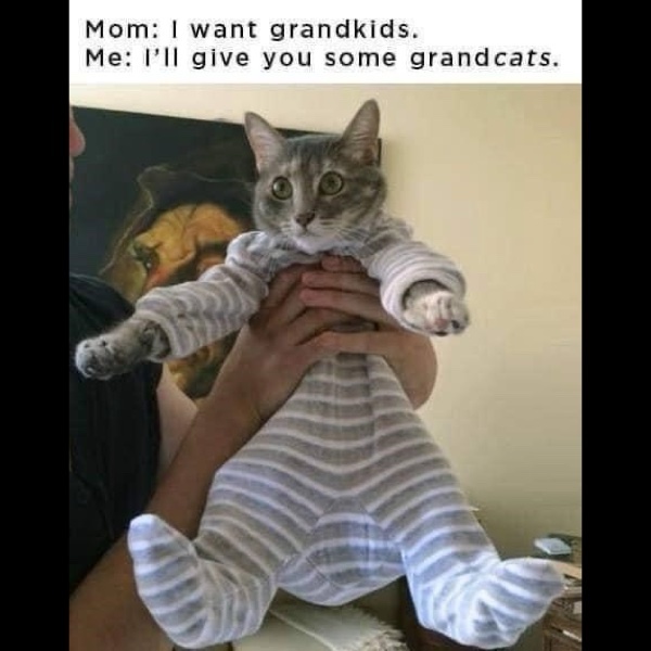 Noon clean meme drop 4-26-24 – Clean Memes