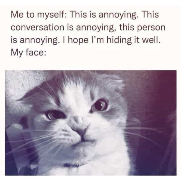 Early morning clean meme drop 4-8-24 – Clean Memes