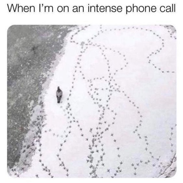 Noon clean meme drop 4-12-24 – Clean Memes