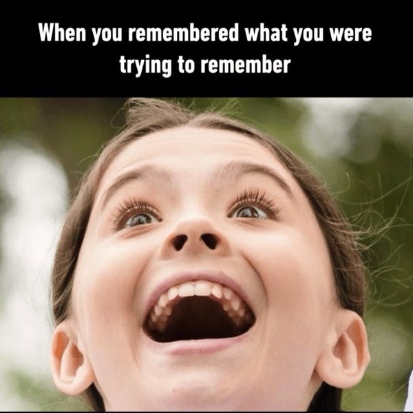 Afternoon clean meme drop 5-4-24 – Clean Memes