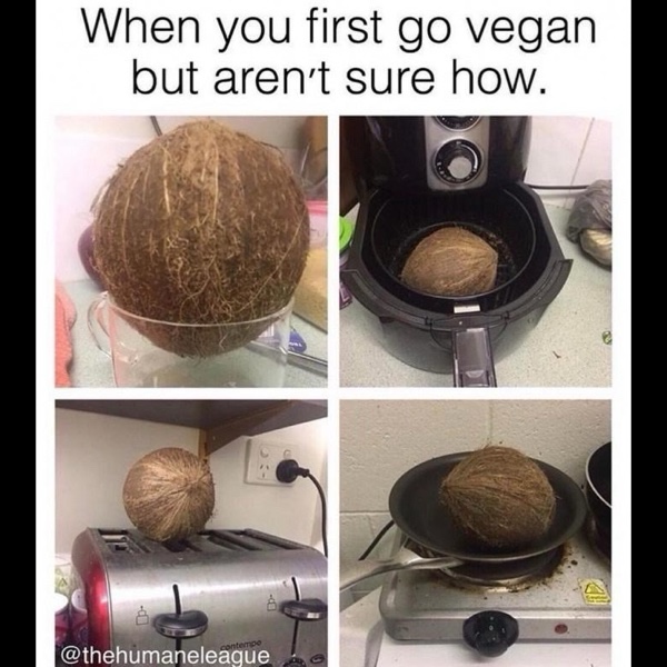 Evening clean meme drop 5-9-24 – Clean Memes