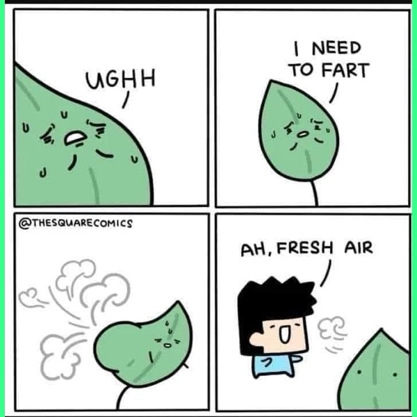 Mid morning clean meme drop 6-4-24 – Clean Memes