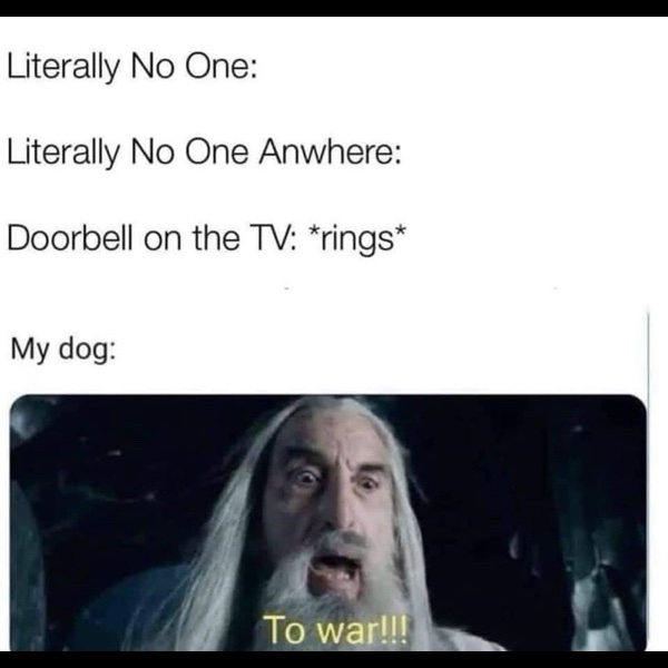 Evening clean meme drop 5-21-24 – Clean Memes