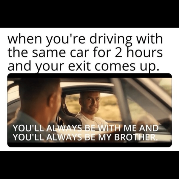 Clean Memes – Page 6 – The best and most clean memes online.