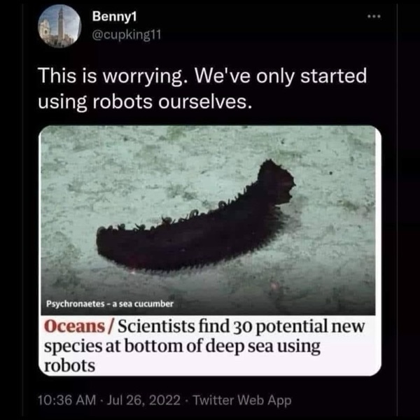 Early morning clean meme drop 6-7-24 – Clean Memes