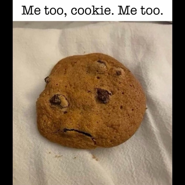 Mid morning clean meme drop 6-8-24 – Clean Memes