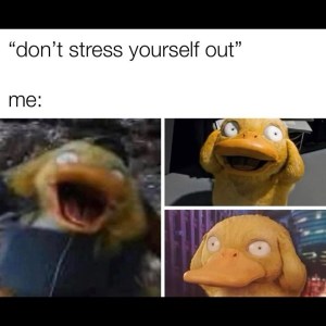 Clean Memes – Page 8 – The best and most clean memes online.