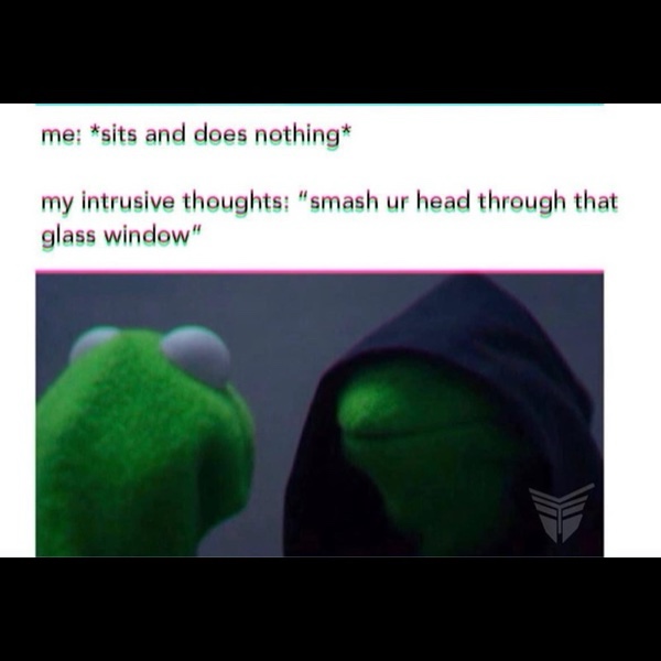 Clean Memes – The best and most clean memes online.