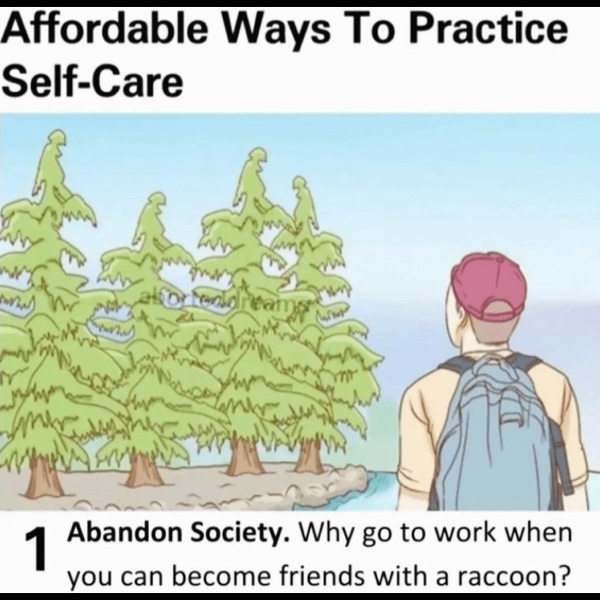 Clean Memes – The best and most clean memes online.