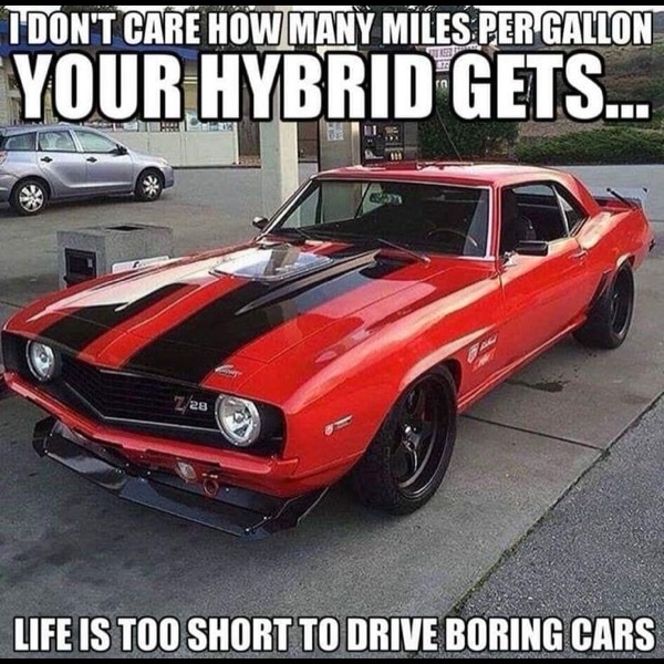 Clean Memes – Page 18 – The best and most clean memes online.