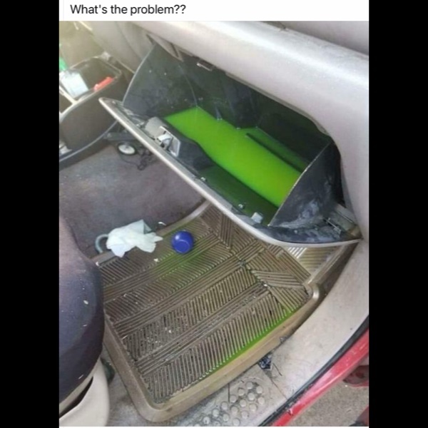 Clean Memes – Page 16 – The best and most clean memes online.