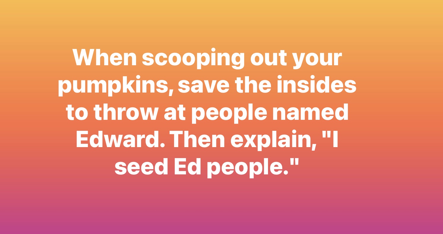 Seeded – Clean Memes