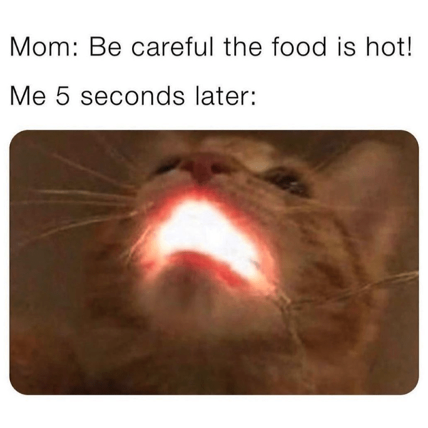 Cat meme drop 2-18-24 – Clean Memes