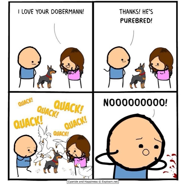 Pun drop 12-13-23 – Clean Memes