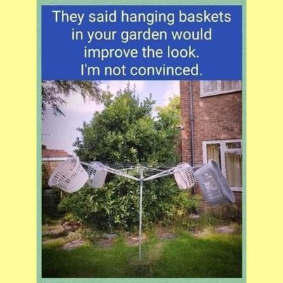 basket case – Clean Memes