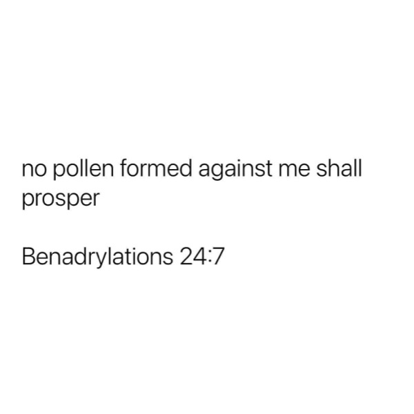 Pun drop 4-15-24 – Clean Memes