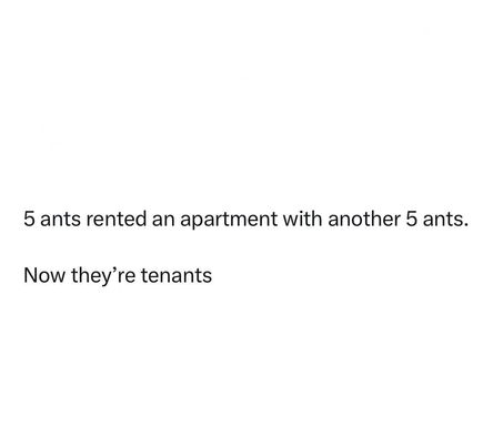 rental – Clean Memes