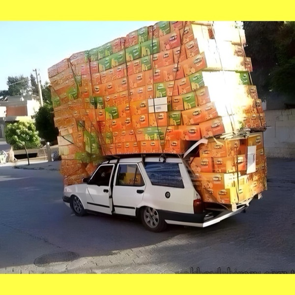 Clean Memes – Page 8 – The best and most clean memes online.