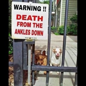 Clean Memes – Page 2 – The best and most clean memes online.