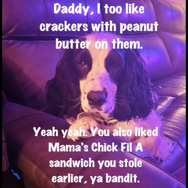 Clean Memes – Page 2 – The best and most clean memes online.