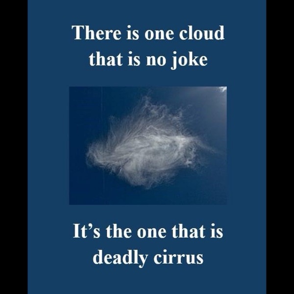 Clean Memes – Page 2 – The best and most clean memes online.