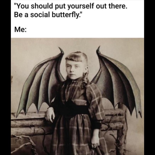 Clean Memes – Clean Memes