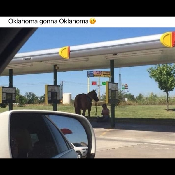 Clean Memes – Page 8 – The best and most clean memes online.