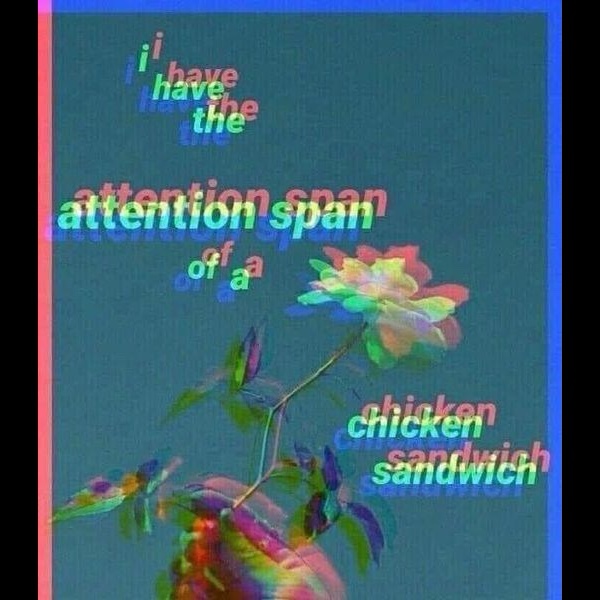 Morning clean meme drop 7-21-24 – Clean Memes