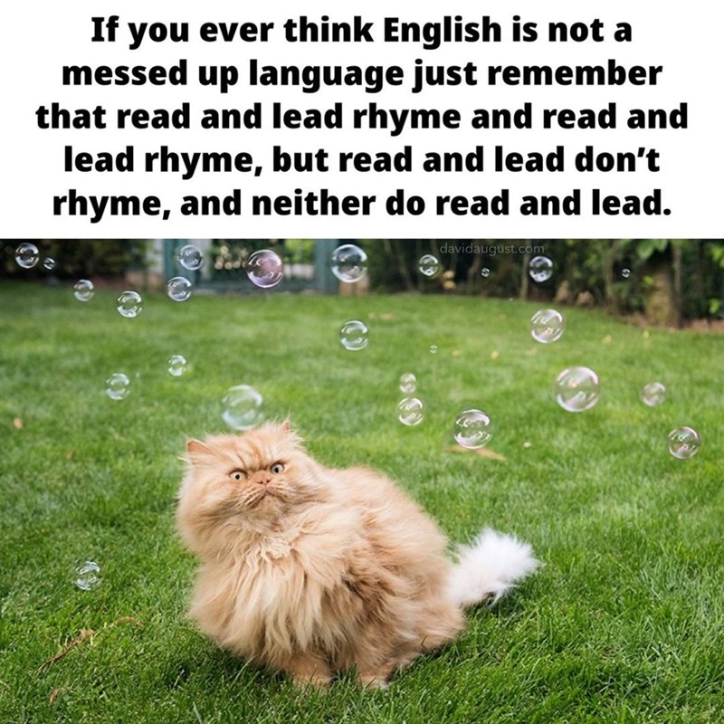 Clean Memes – Page 8 – The best and most clean memes online.