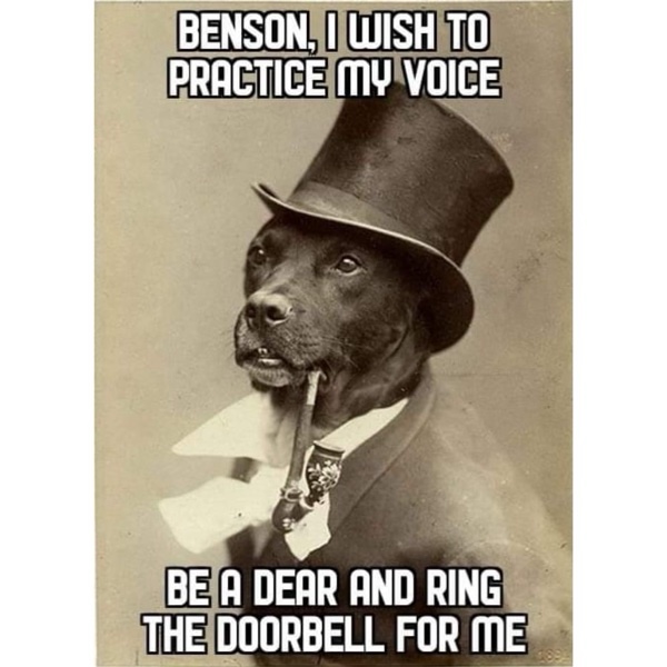 Dog Memes – Clean Memes