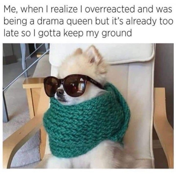 Dog Memes – Clean Memes