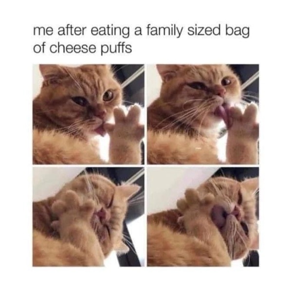 Cat meme drop 7-27-24 – Clean Memes