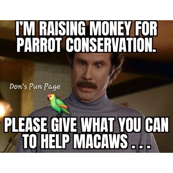 Clean Memes – Page 16 – The best and most clean memes online.